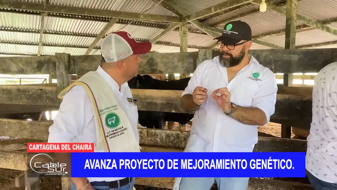 Avanza proyecto de mejoramiento genético - Cable Sur - Nuestra señal