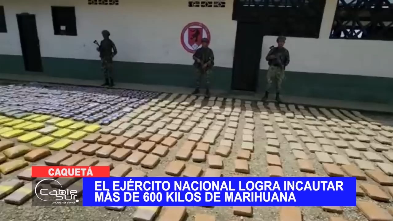 04 EL EJÉRCITO NACIONAL LOGRA INCAUTAR MÁS DE 600 KILOS DE MARIHUANA ...