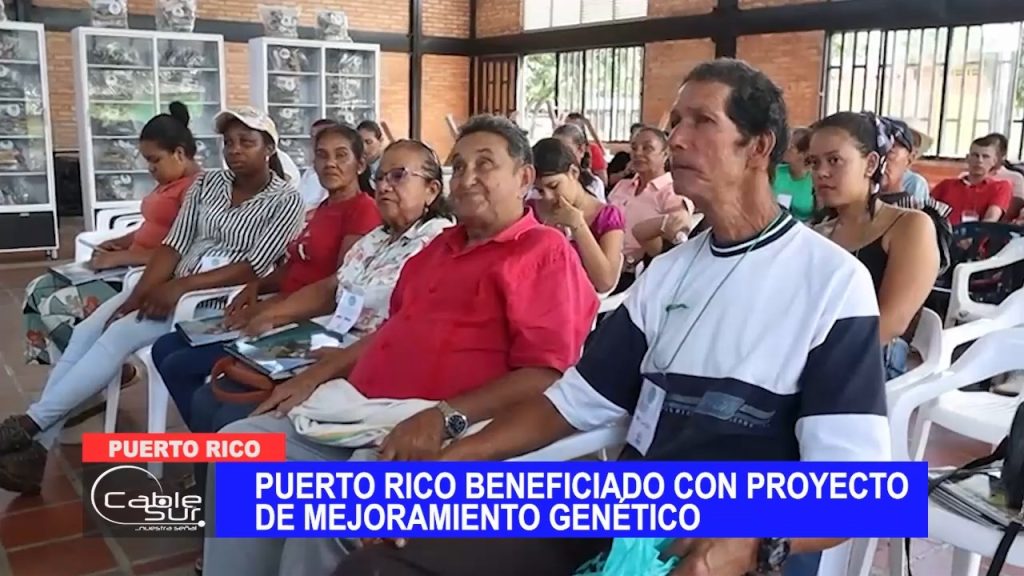 02 PUERTO RICO BENEFICIADO CON PROYECTO DE MEJORAMIENTO GENÉTICO.mp4 ...